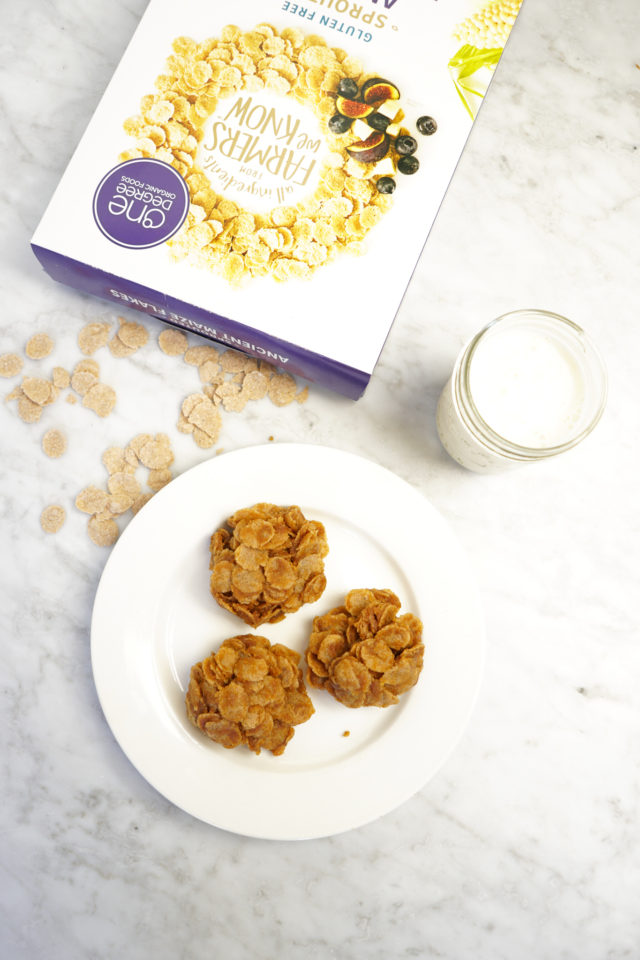 No-Bake Pumpkin Peanut Butter Cornflake Clusters - Whitney E. RD