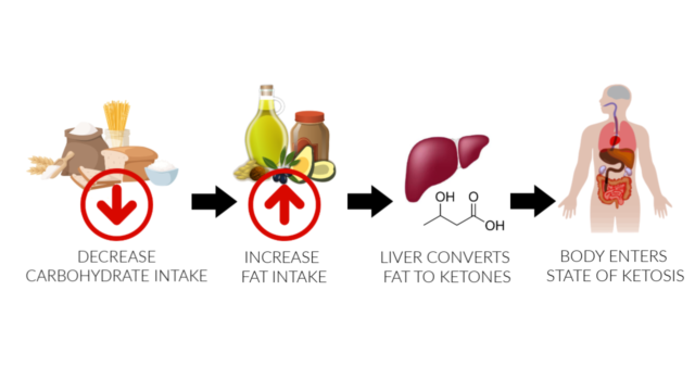 A Plant-Based Ketogenic Diet: What, Why + How to Do It! - Whitney E. RD