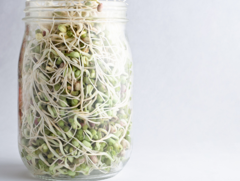 A Mini Guide to Soaking and Sprouting at Home - Whitney E. RD